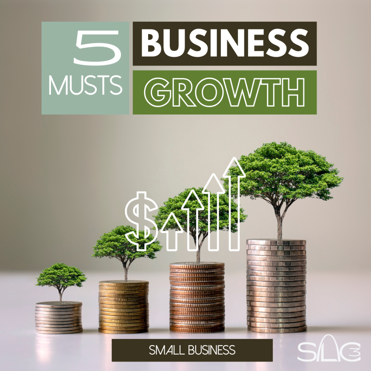 5 Key MUSTS for Business Growth - SLC3 -St. Louis Council of ...