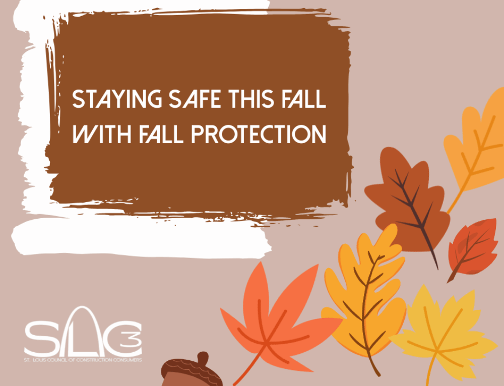 AVI Systems Rebrands as Forte: A Bold New Identity for the Future ...